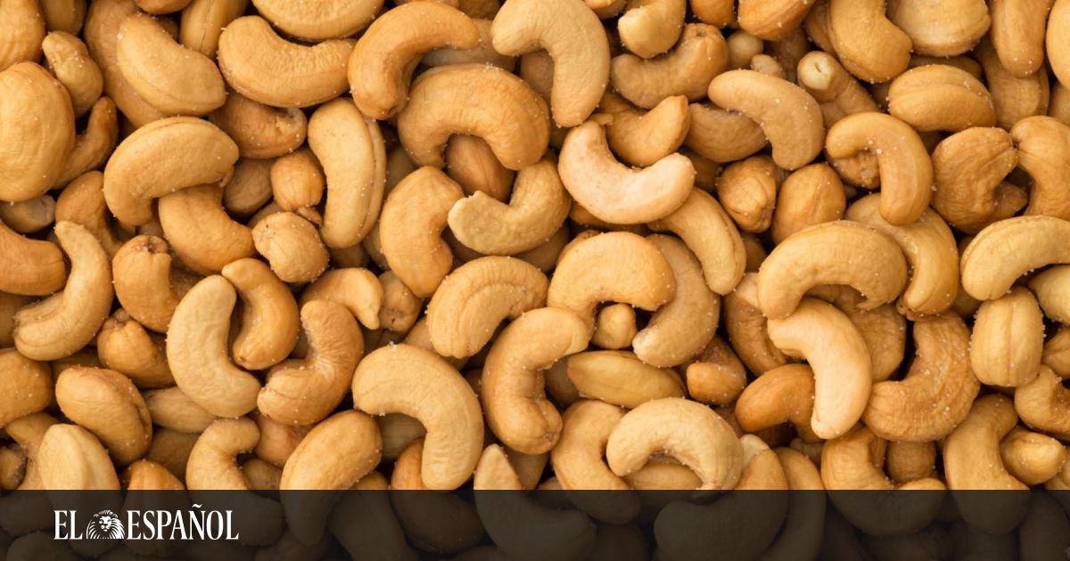 Alerta: El consumo de anacardo crudo puede ser venenoso