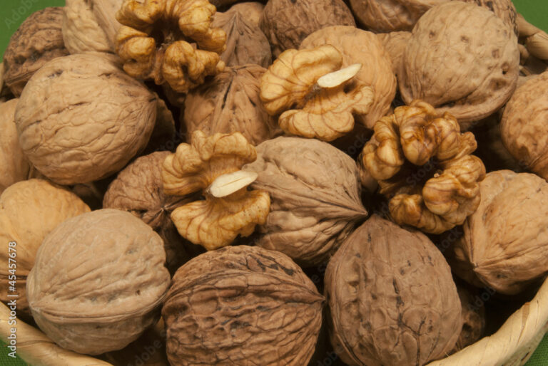 Descubre la maravilla de la nuez de castilla en estas increíbles fotos